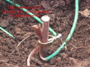 Grounding Electrode System